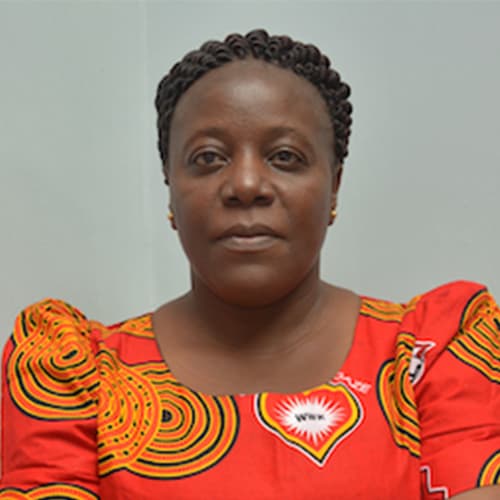 AESA-RISE: AAS Programme